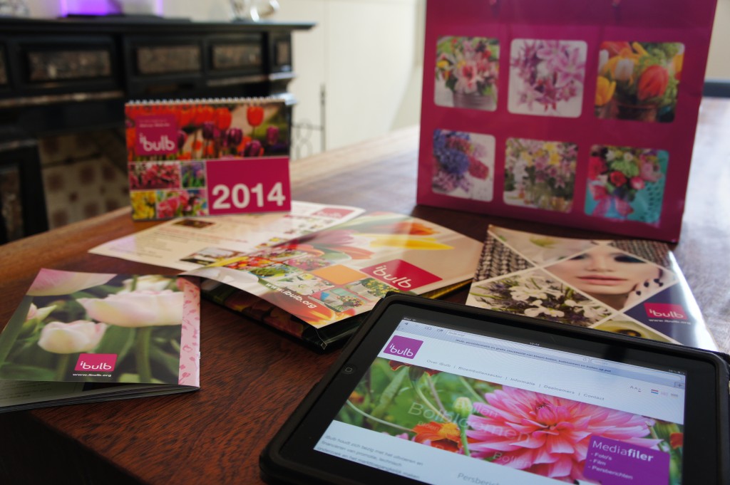 Naamcreatie Merkontwikkeling Merkdesign iBulb - Naem